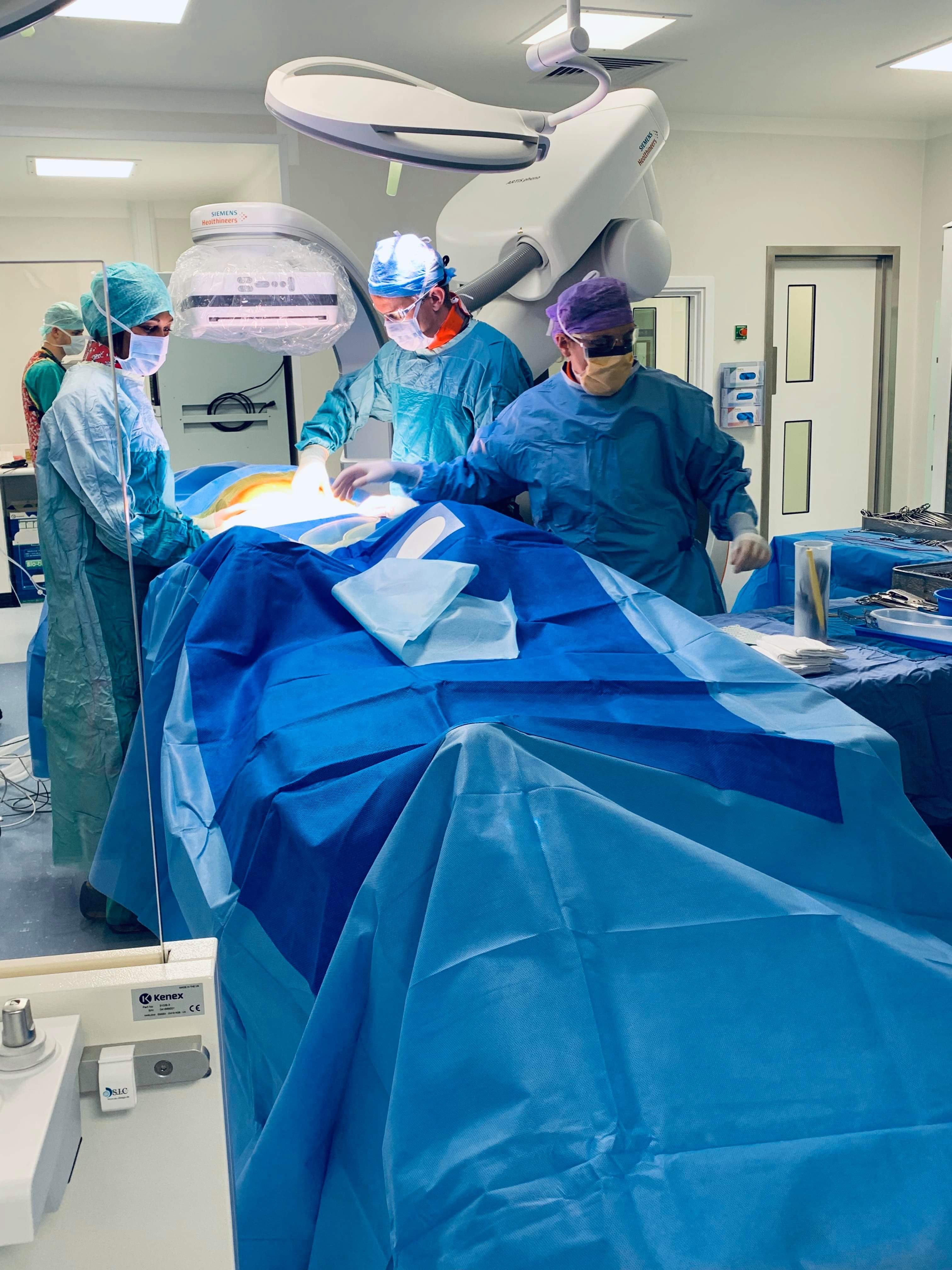 Fellowships & Training